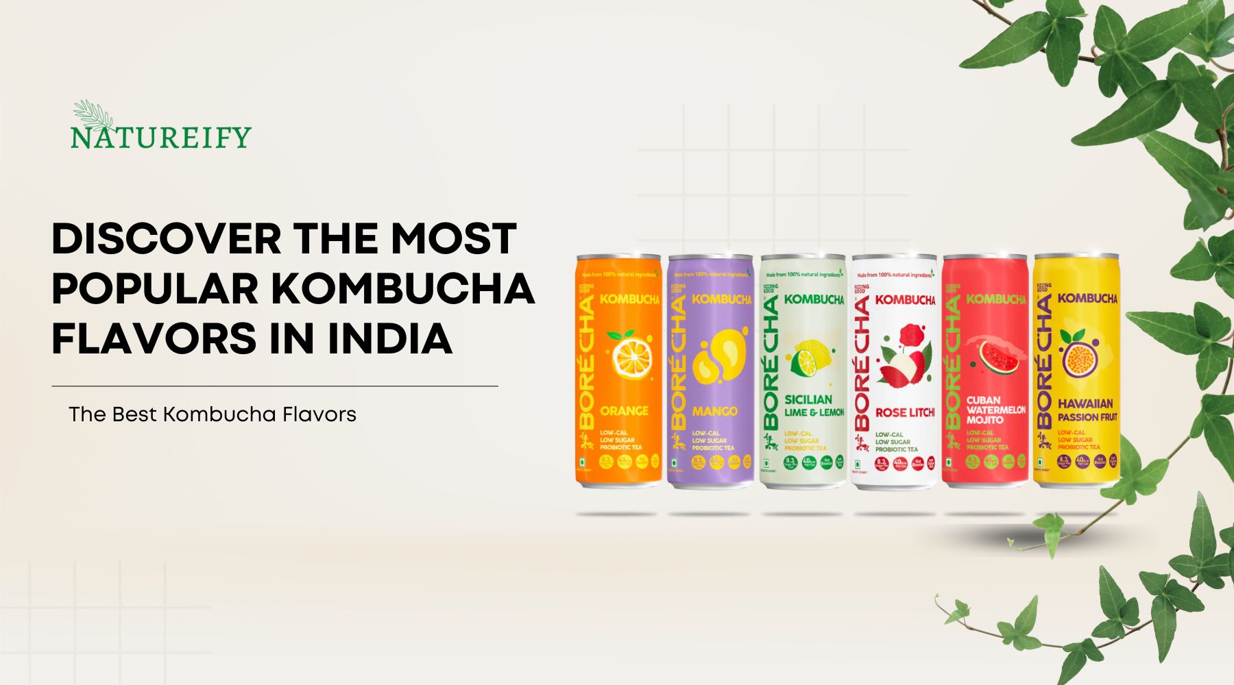 Discover the Most Popular Kombucha Flavors in India – Borécha