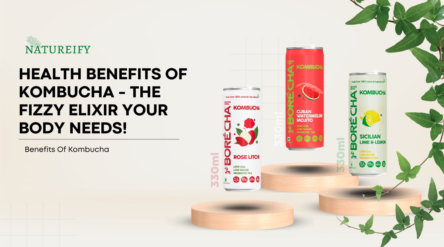 Health Benefits of Kombucha - The Fizzy Elixir Your Body Needs! – Borécha