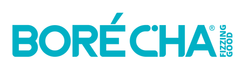 Raw & Organic Kombucha Drink in India – Borécha