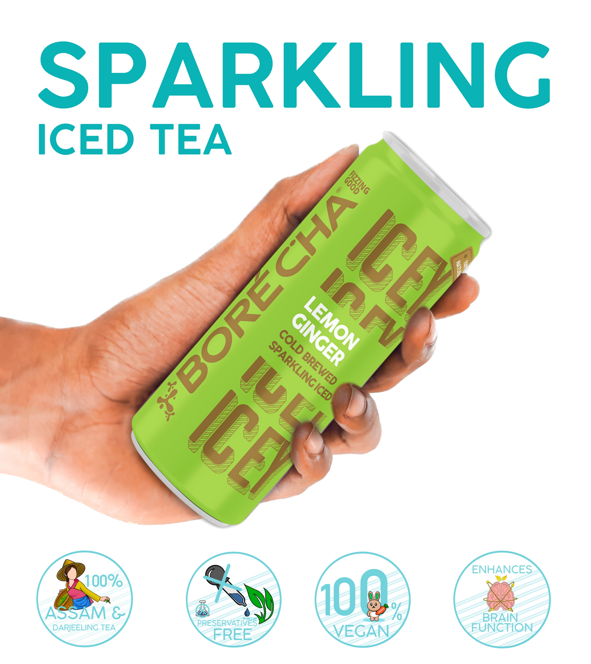 Raw & Organic Kombucha Drink in India – Borécha