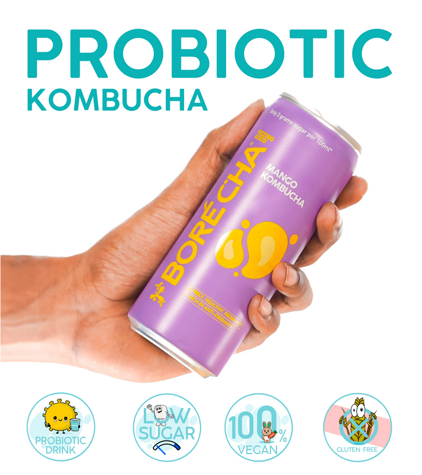 Raw & Organic Kombucha Drink in India – Borécha