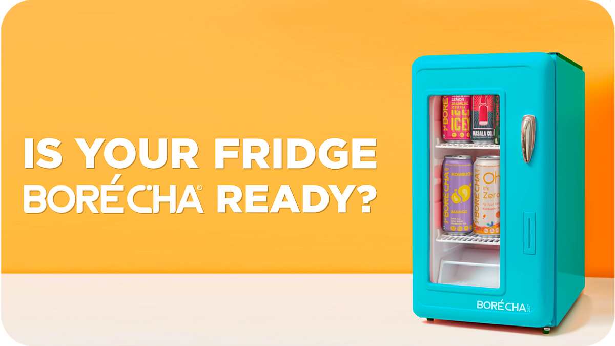 Raw & Organic Kombucha Drink in India – Borécha