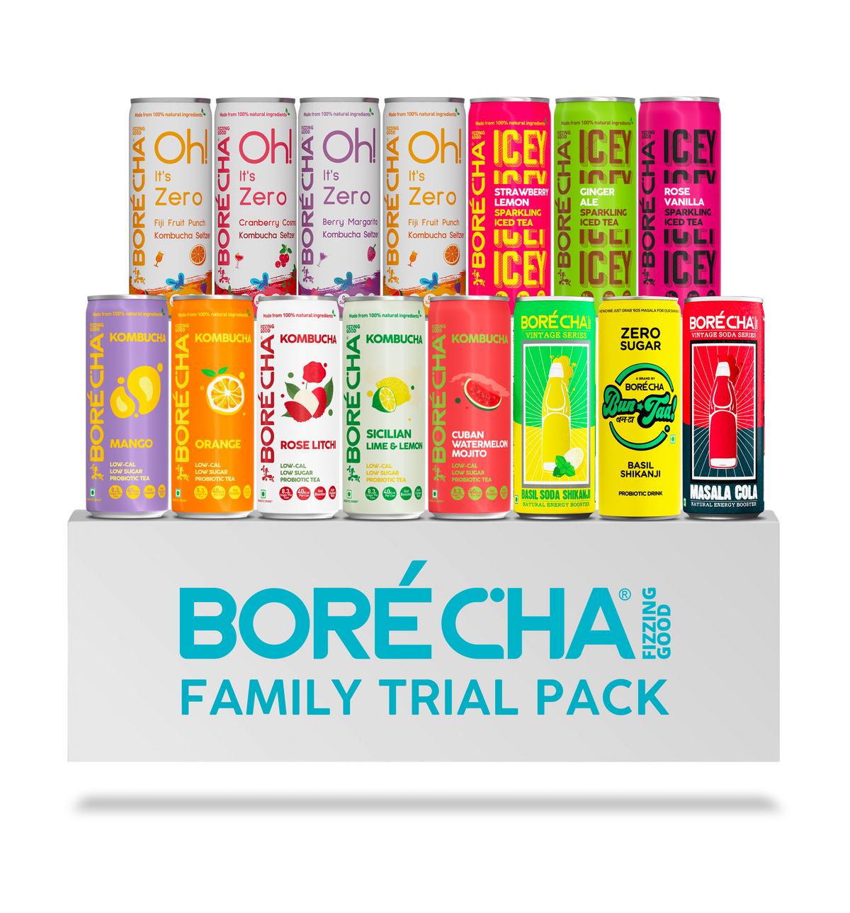 Raw & Organic Kombucha Drink in India – Borécha