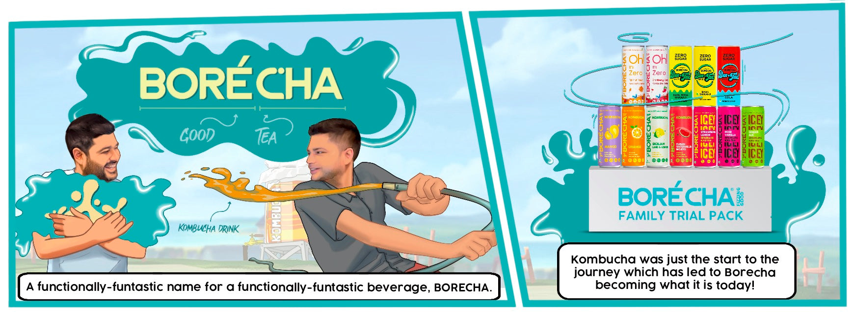 Raw & Organic Kombucha Drink in India – Borécha