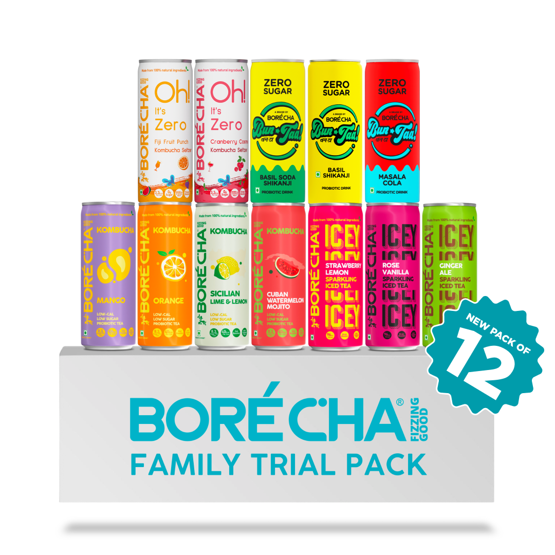 Raw & Organic Kombucha Drink in India – Borécha