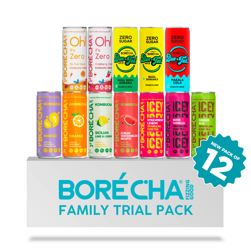 Raw & Organic Kombucha Drink in India – Borécha