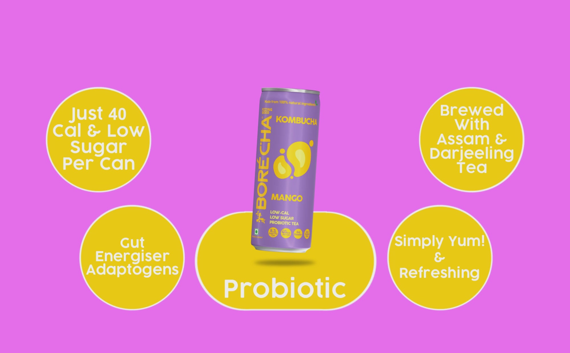 Kombucha – Borécha